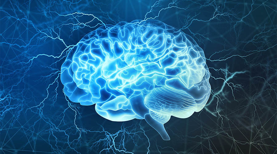ARIA: Massively Scalable Neurotechnologies - TA1 concept papers ...