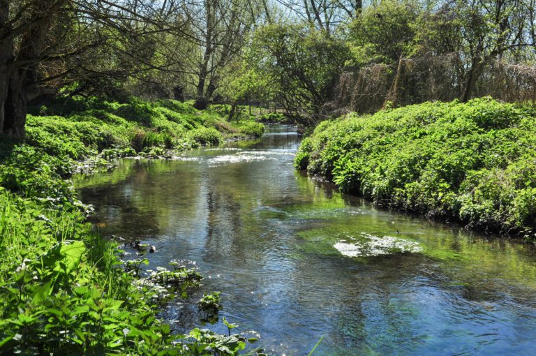 Ofwat Water Efficiency Fund Consultation Webinars - Innovate UK ...